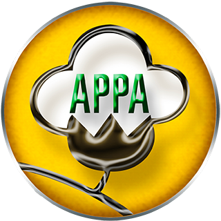 II Seminario Internacional de APPA 2024