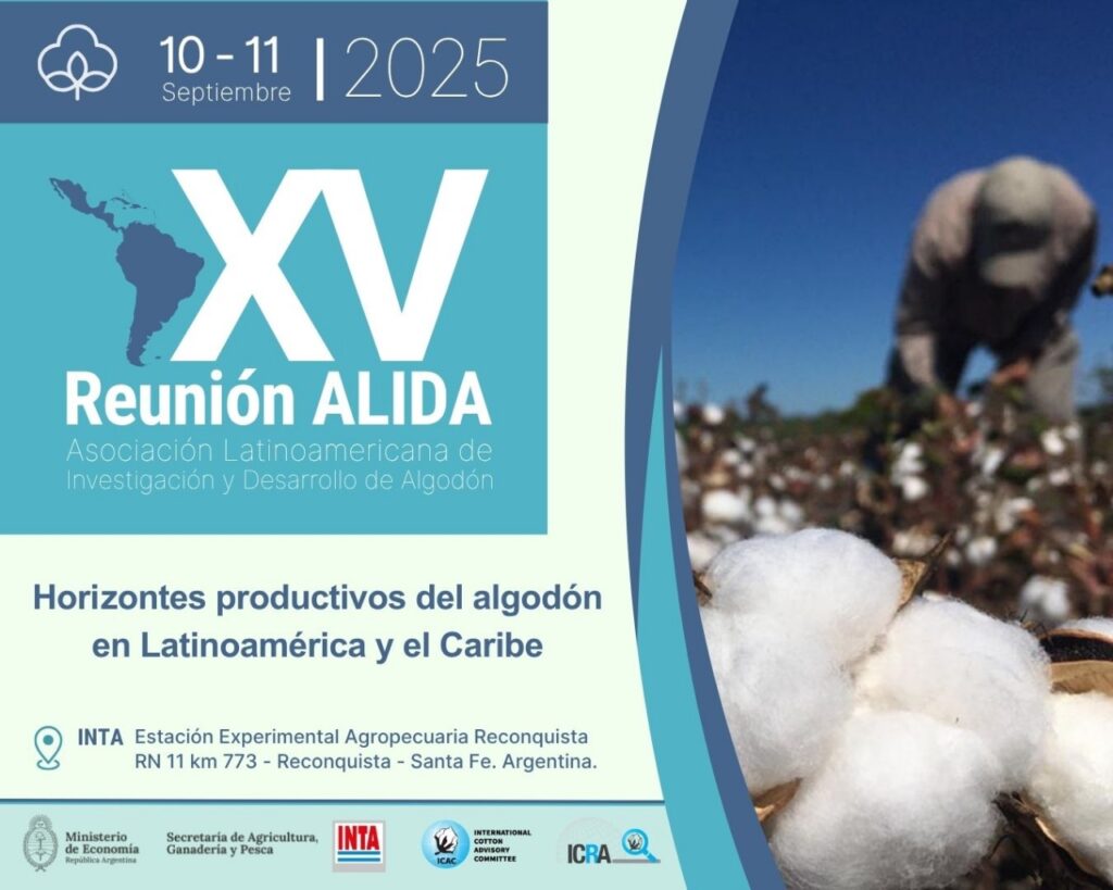 ALIDA 2025 – Sesión 4